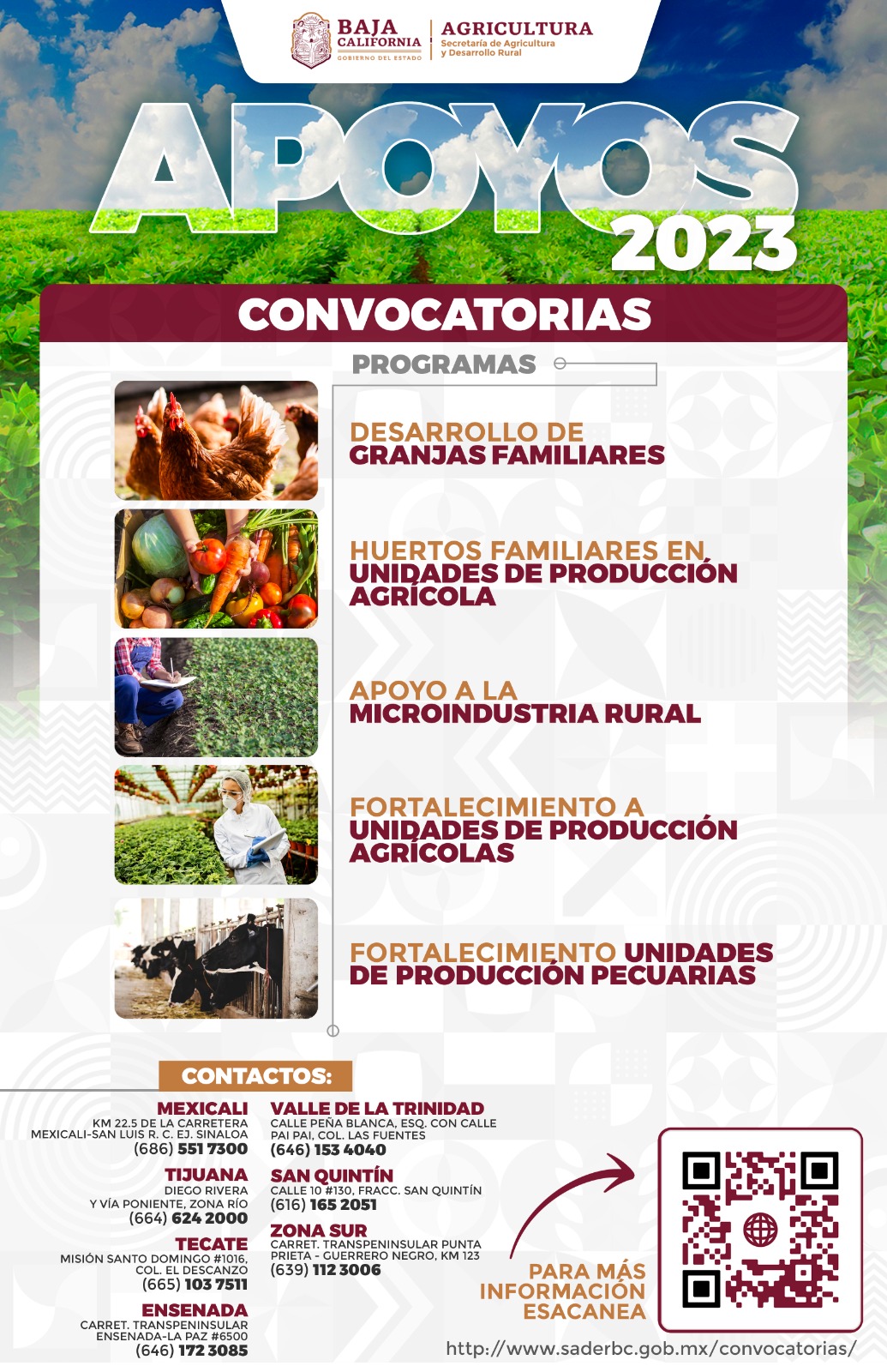 INICIÓ LA RECEPCIÓN DE SOLICITUDES DE APOYOS 2023 PARA IMPULSAR EL CAMPO BAJACALIFORNIANO ...